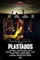 Plantados movie large poster.